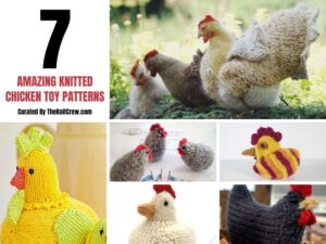 7 Amazing Knitted Chicken Toy Patterns - The Knit Crew