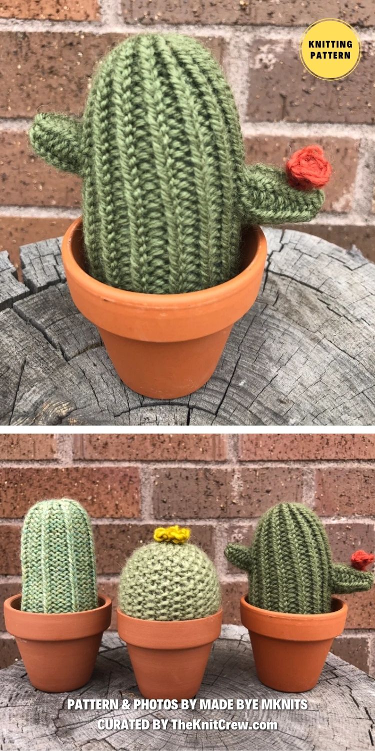 13 Beautiful Knitted Succulent Patterns For Mother's Day - The Knit Crew