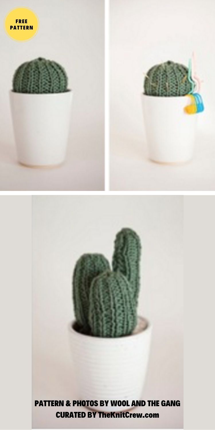 13 Beautiful Knitted Succulent Patterns For Mother's Day - The Knit Crew