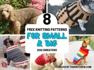 8 Free Knitting Patterns for Small and Big Dog Sweaters - The Knit Crew