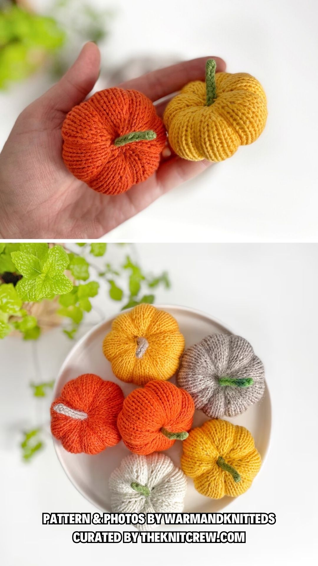 11 Knitting Squashes Patterns Perfect For Halloween - The Knit Crew