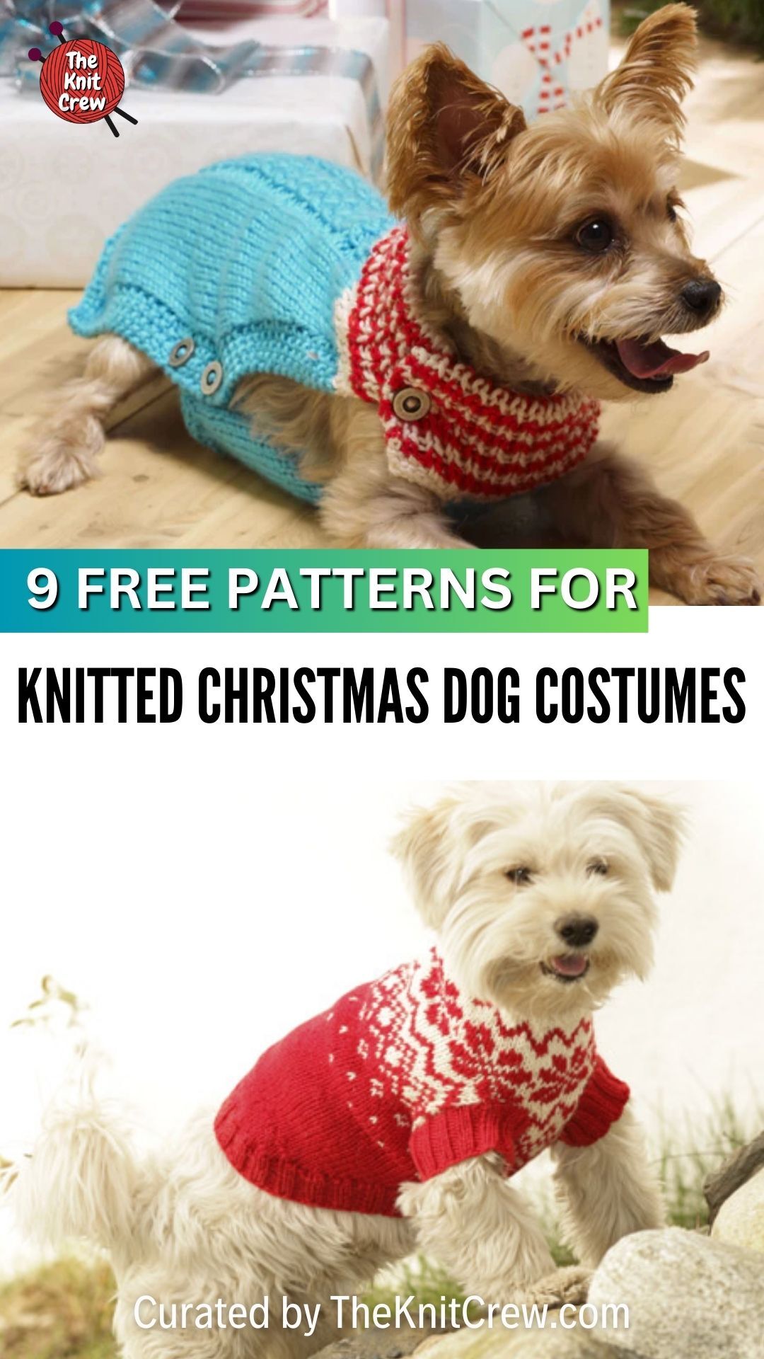 9 Free Christmas Dog Costume Patterns They'll Surely Find Cozy - The ...