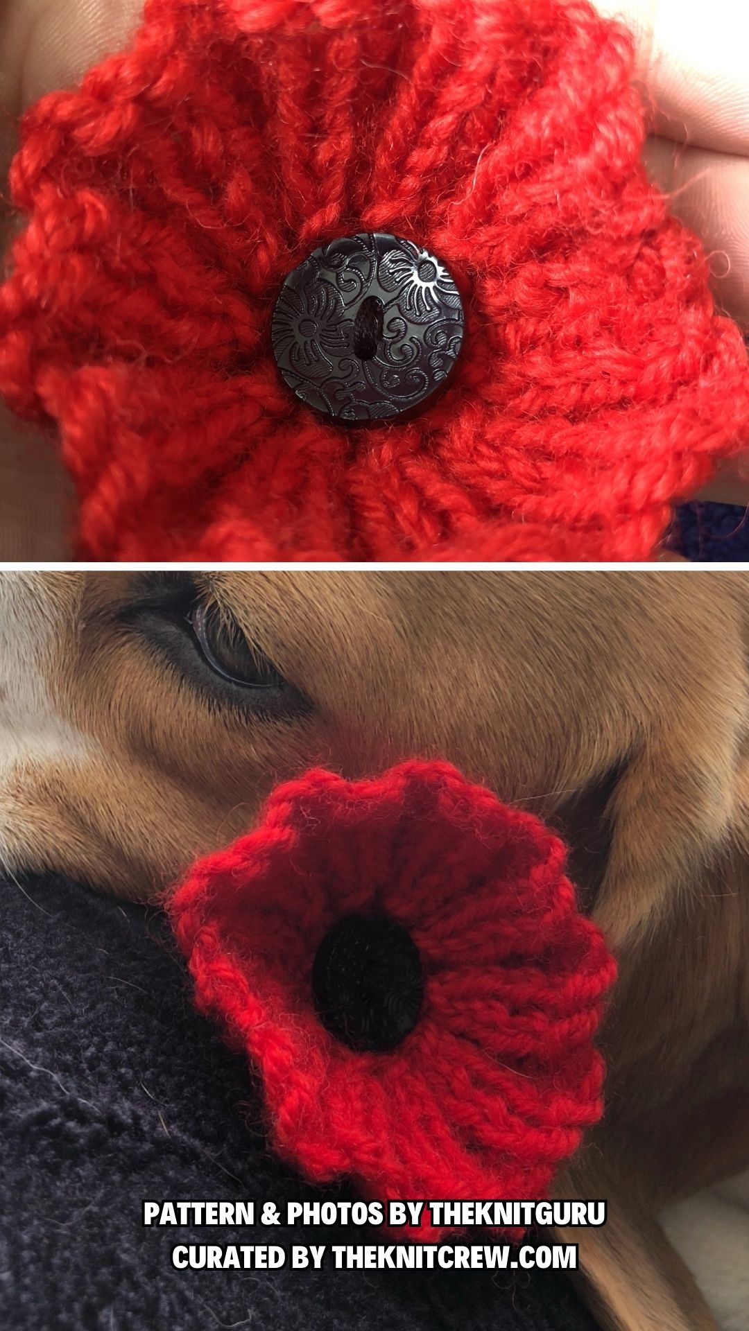 10 Knitting Patterns For Remembrance Day - The Knit Crew